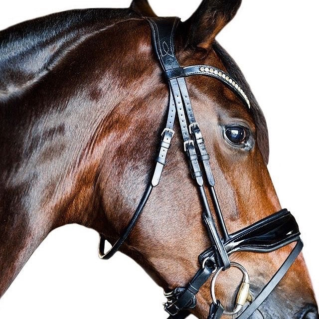 Bundle of Bridle2Fit Fixings AKA Fittings Rolled Snaffle Bridle – Dressage Collections